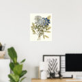 Lacy Leaves - Flowers and Greenery Poster | Zazzle