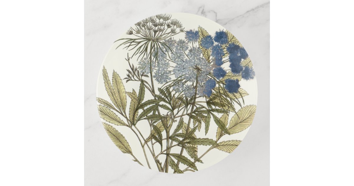 Lacy Leaves - Flowers and Greenery Trinket Tray | Zazzle
