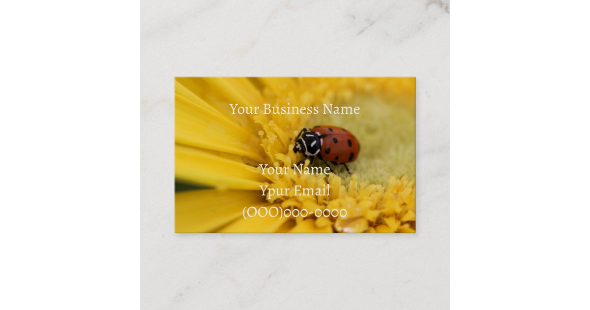 Lady bug business card | Zazzle
