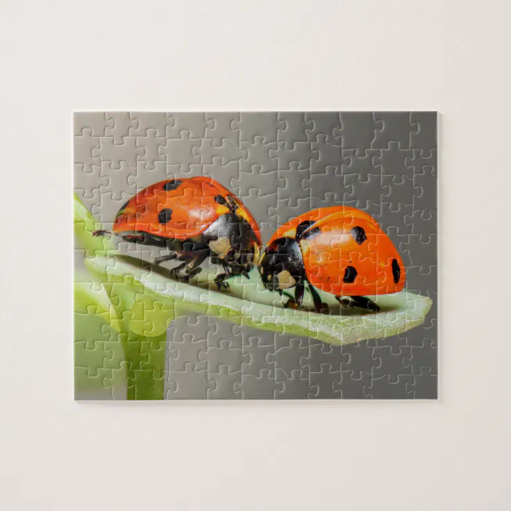 Lady Bugs Jigsaw Puzzle | Zazzle
