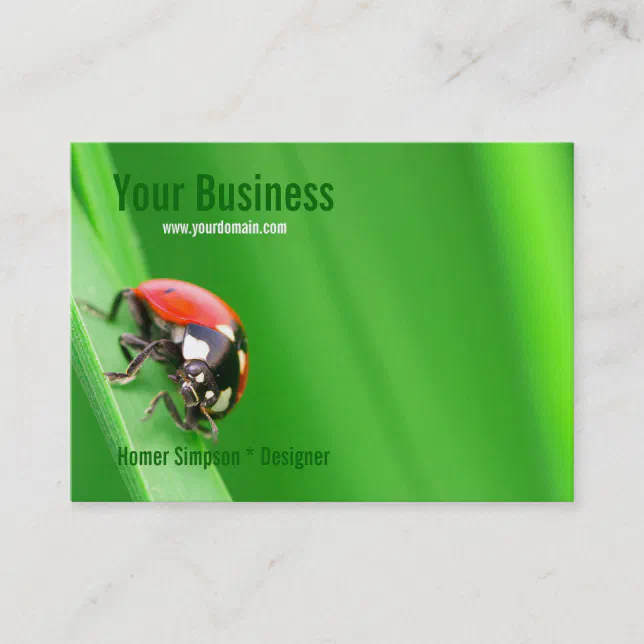 Ladybird Business Card | Zazzle