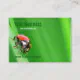 Ladybird Business Card | Zazzle