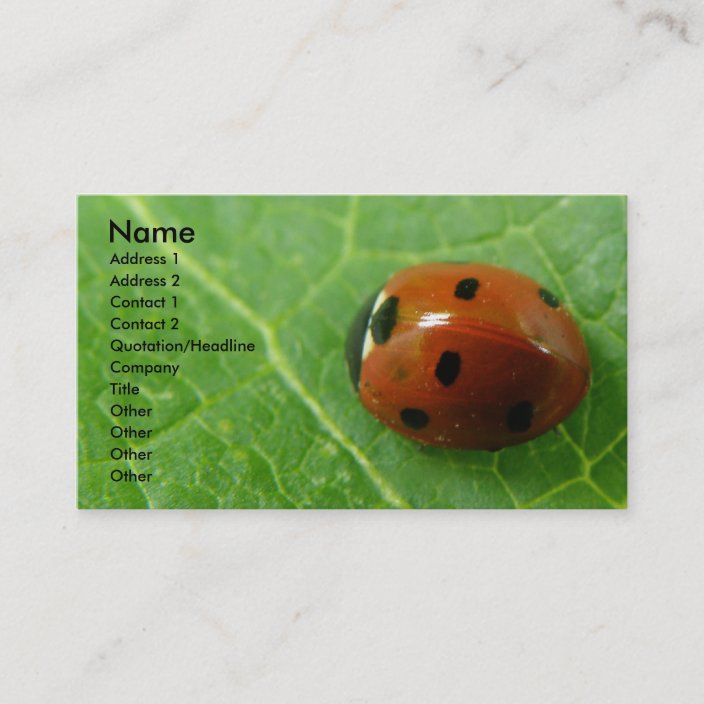 Ladybug Customizable Business Card | Zazzle.com