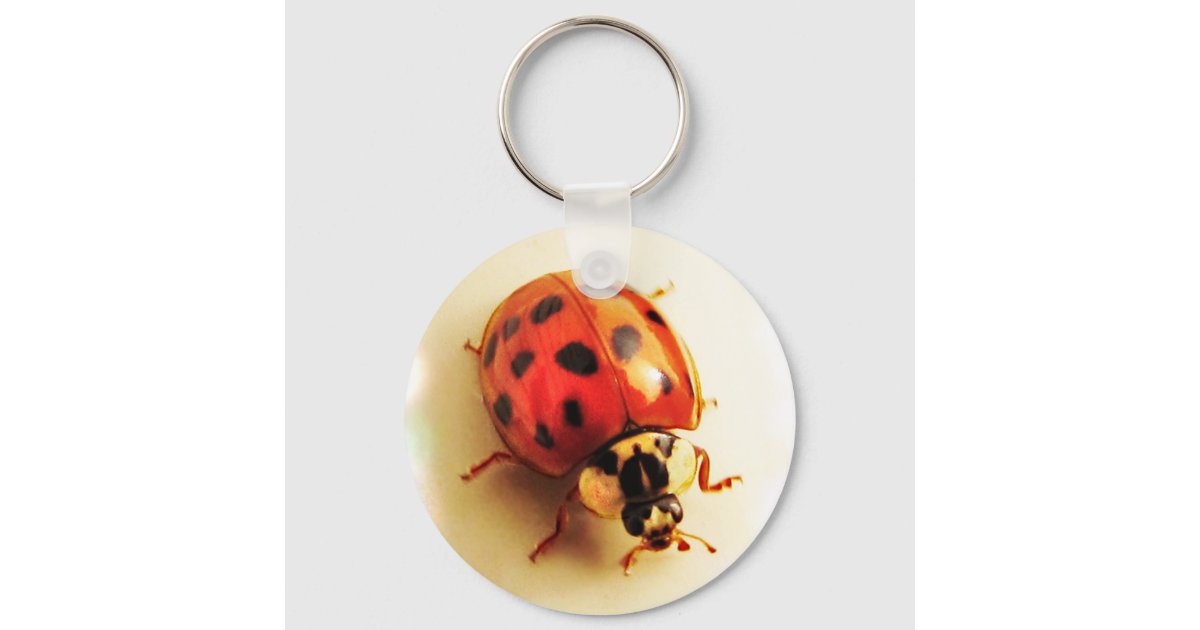 Ladybug Keychain | Zazzle