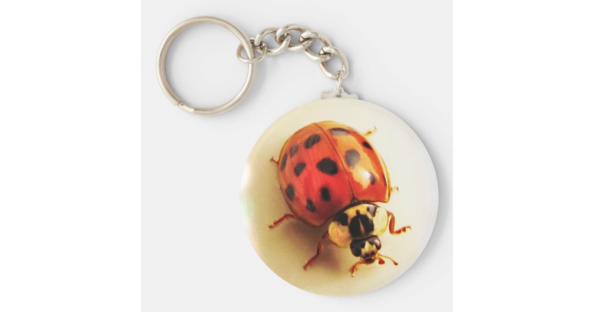 Ladybug Keychain | Zazzle.com