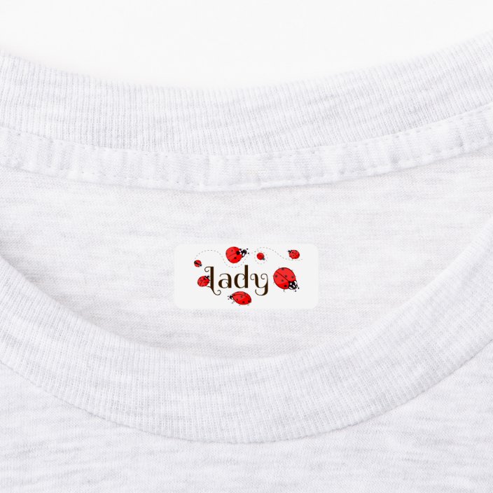 Ladybug Labels | Zazzle.com