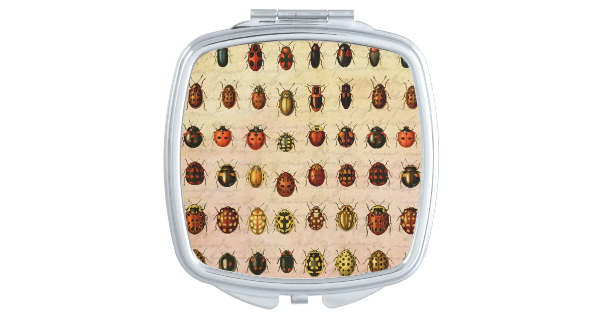 Ladybug Ladybird Beetle Insect Bug Compact Mirror | Zazzle