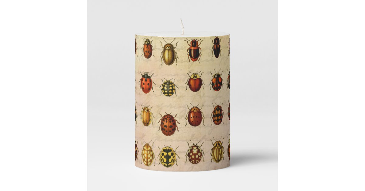 Ladybug Ladybird Beetle Insect Bug Pillar Candle | Zazzle