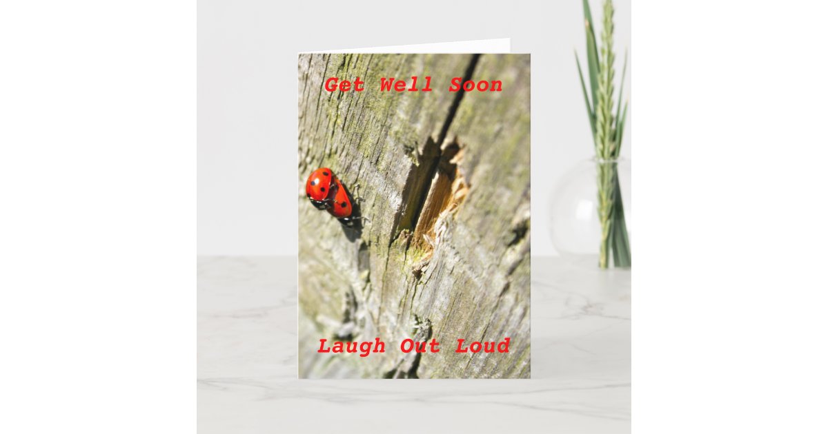 Ladybug/Ladybird Get Well Soon Card | Zazzle