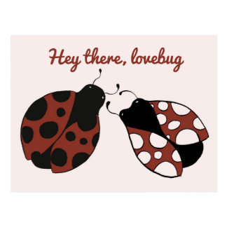 OctopusLove: Designs & Collections on Zazzle