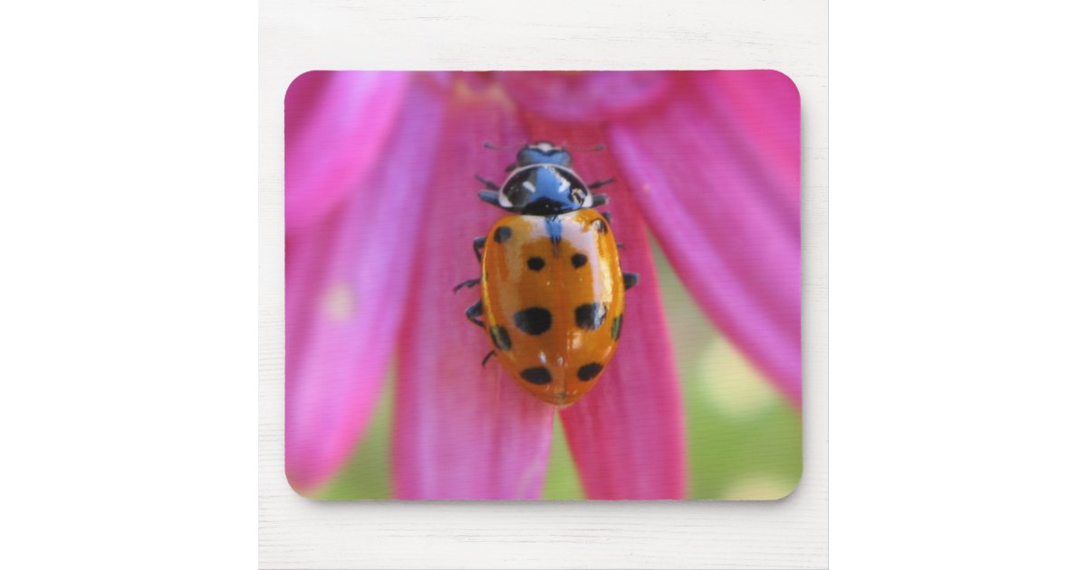 Ladybug Mousepad | Zazzle
