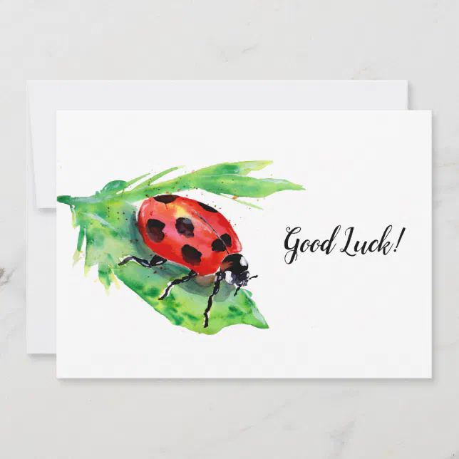 Ladybug on Green Leaf Good Luck Thank You Card | Zazzle