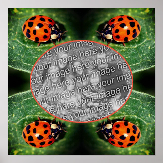 Ladybug On Leaf Frame Create Your Own Photo Poster | Zazzle
