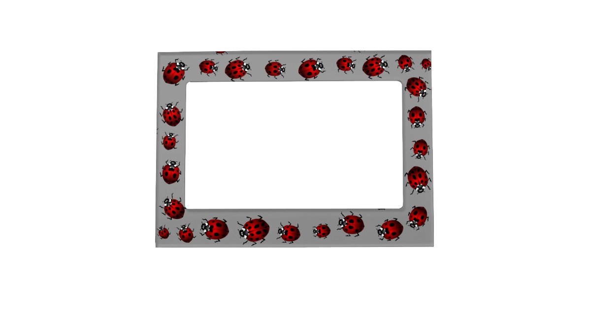 Ladybug Picture Frame Ladybird Art Frame | Zazzle