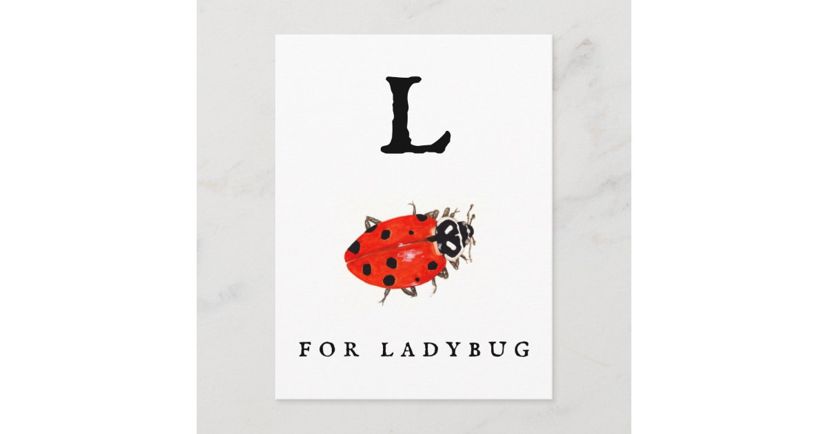 Ladybug postcard | Zazzle