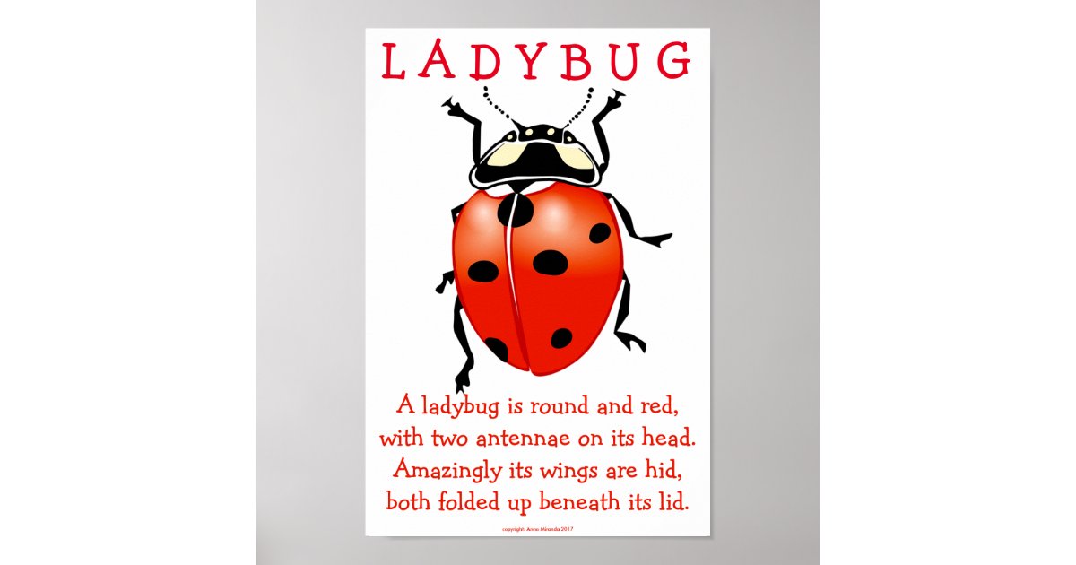 Ladybug Poster | Zazzle