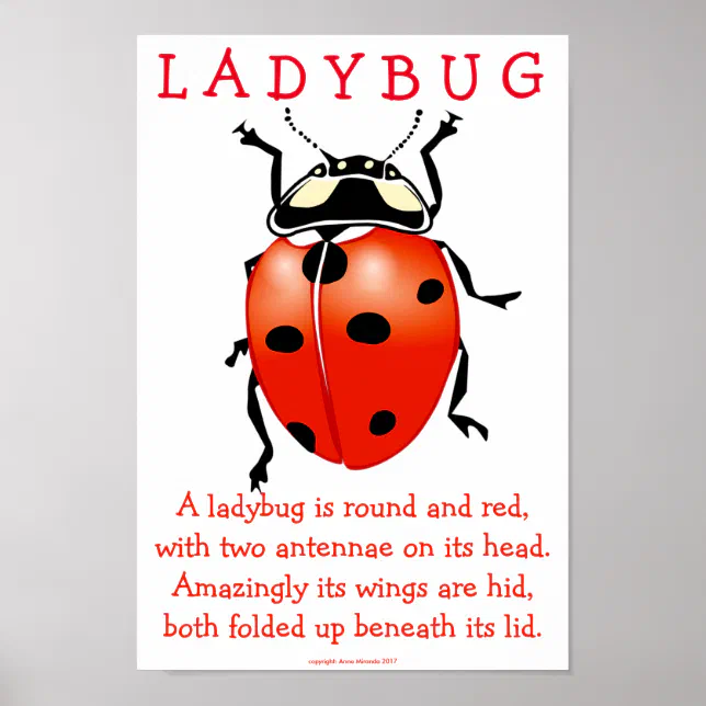 Ladybug Poster | Zazzle