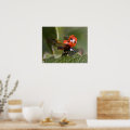 Ladybug Poster | Zazzle