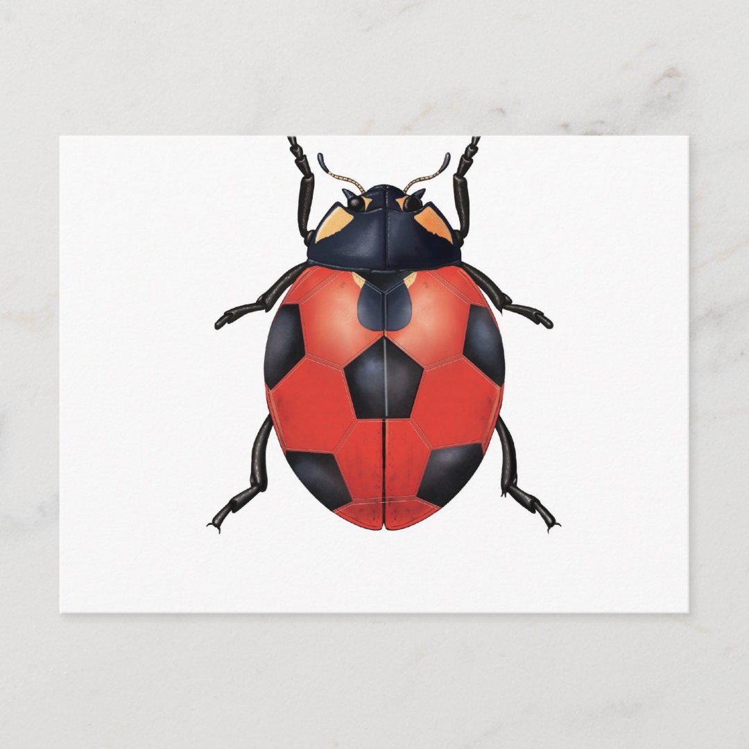 Ladybug soccer postcard | Zazzle