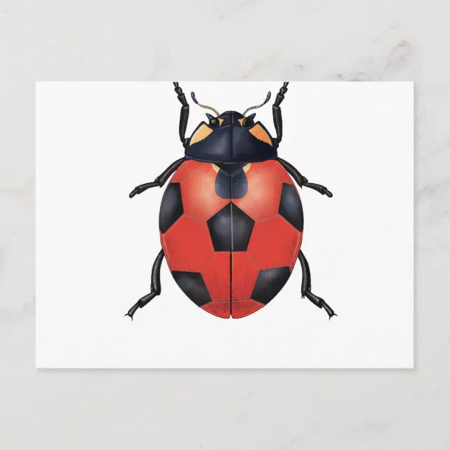 Ladybug soccer postcard | Zazzle