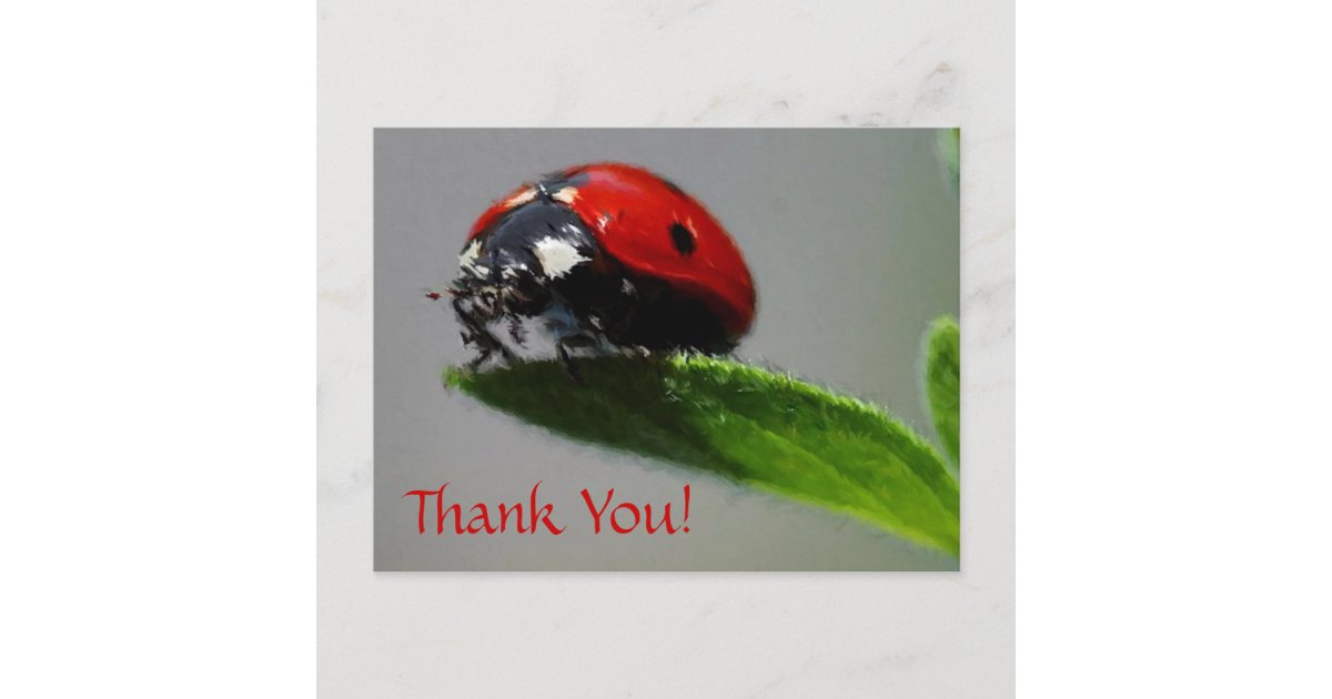 LadyBug Thank You! Postcard | Zazzle
