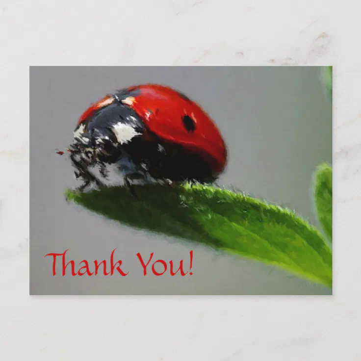 LadyBug Thank You! Postcard | Zazzle