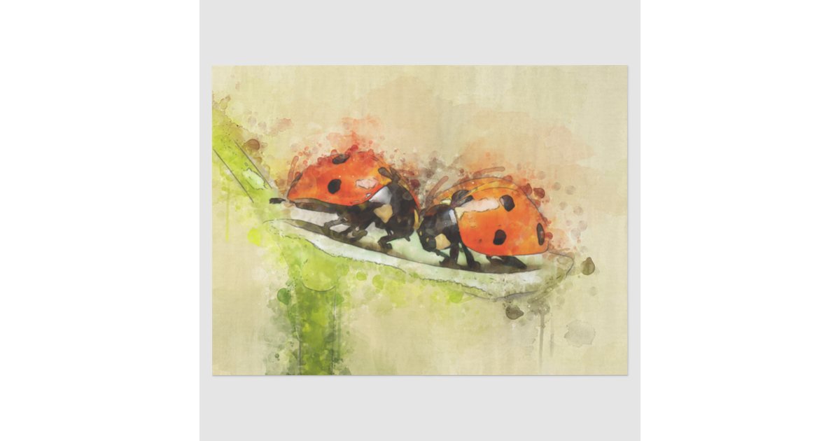 Ladybug Watercolor Decoupage Tissue Paper | Zazzle
