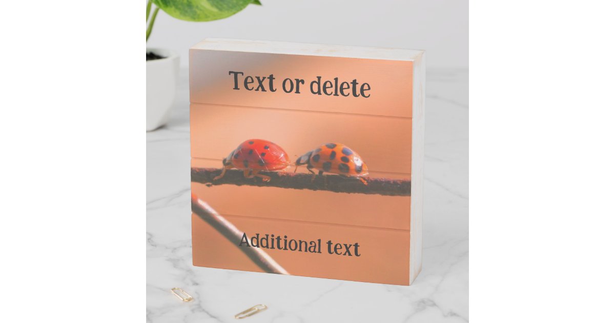 Ladybugs Play Follow The Leader Personalized Wooden Box Sign | Zazzle