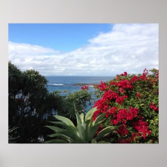 Laguna Beach Ocean View Poster | Zazzle