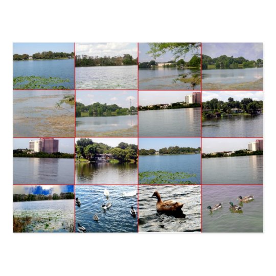 Lake Collage Postcard | Zazzle.com