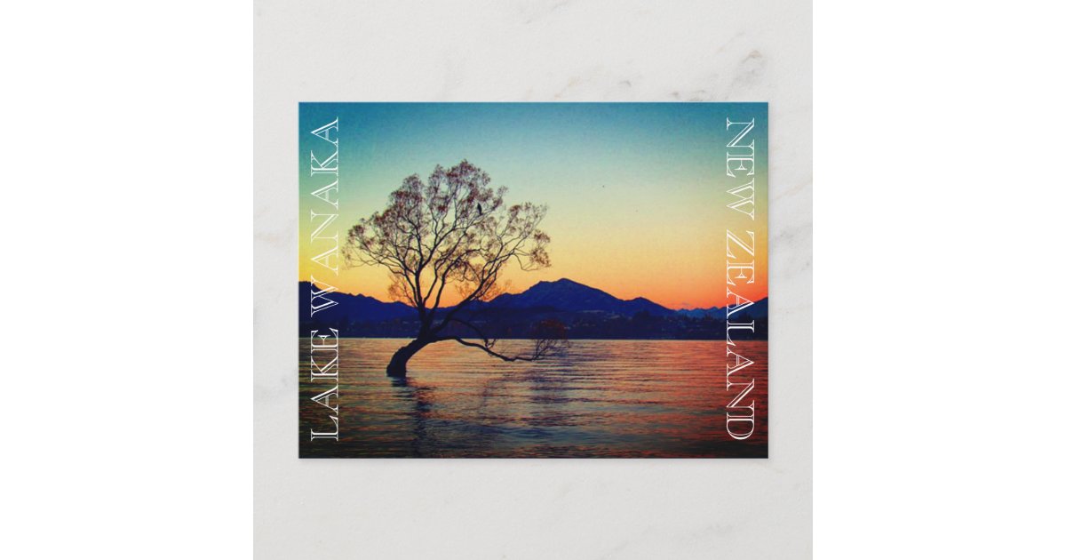 lake wanaka tree postcard | Zazzle
