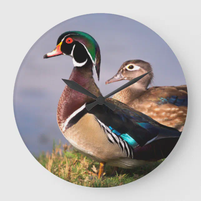 Lakeside, Wood Duck Large Clock | Zazzle