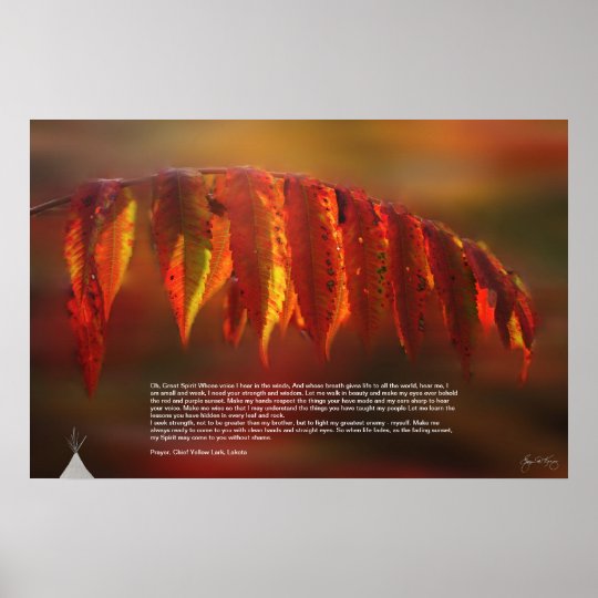 Lakota Prayer Poster | Zazzle.com