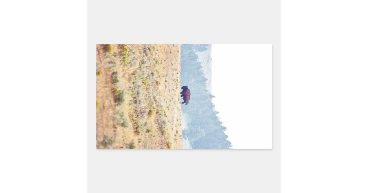 Lamar Rectangular Sticker | Zazzle