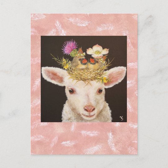 lamb postcard | Zazzle.com