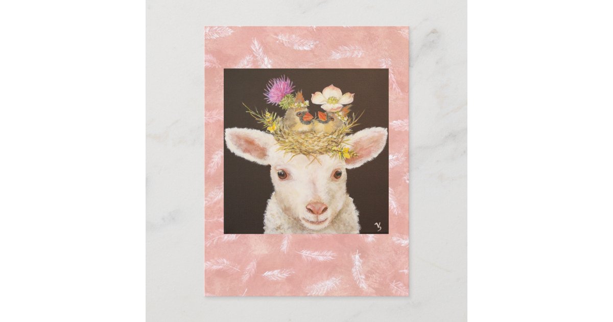 lamb postcard | Zazzle