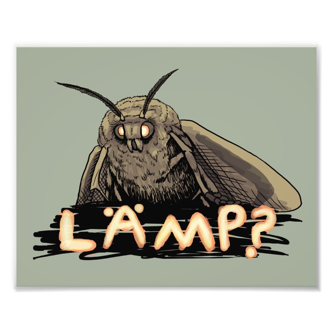 Lamp? Moth Meme Photo Print | Zazzle