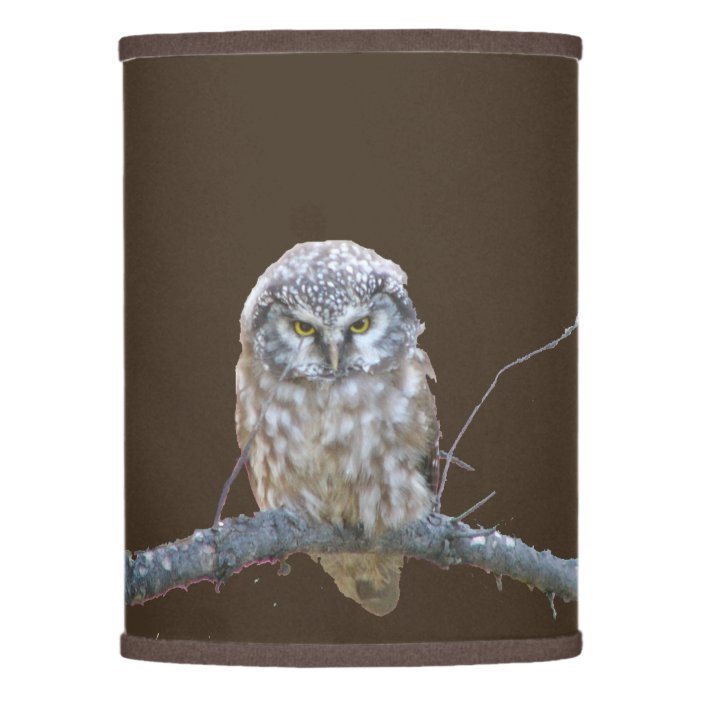 Lamp Shade with owl | Zazzle.com