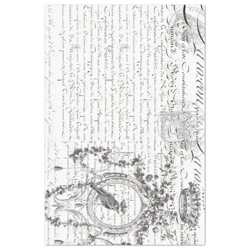 Landscape Bird Script Decoupage Paper | Zazzle
