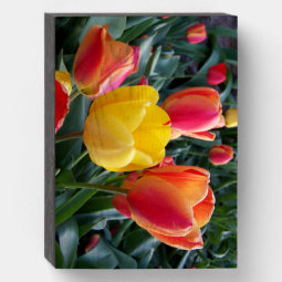 Landscape Horizontal Photo Black Edge Wooden Box Sign | Zazzle