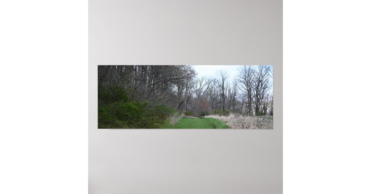 Landscape Photo Poster | Zazzle