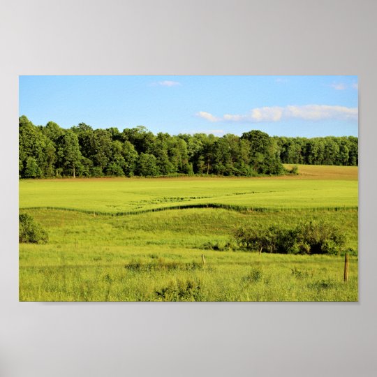 Landscape Photo Poster | Zazzle.com