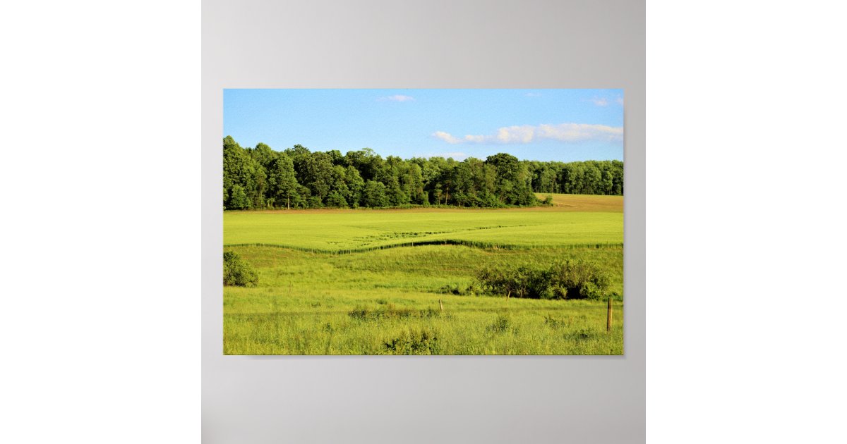 Landscape Photo Poster | Zazzle
