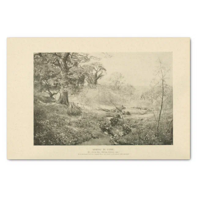 Landscape Spring Trees Ephemera Decoupage Tissue Paper | Zazzle