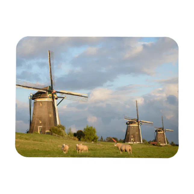 Landscape with windmills and sheep magnet | Zazzle