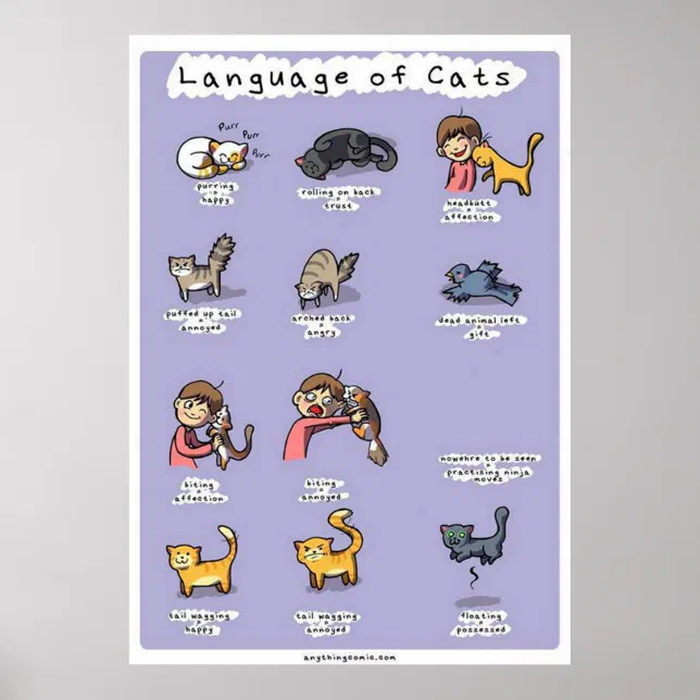 language of cats poster | Zazzle