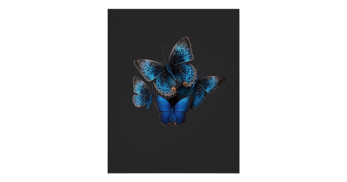 Large blue butterfly poster | Zazzle