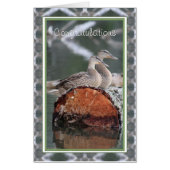 Large Congratulations Card | Zazzle