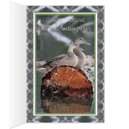 Large Congratulations Card | Zazzle