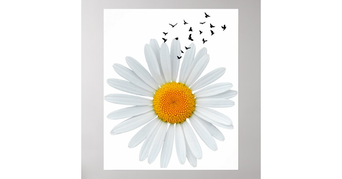 Large Daisy Flower with Flock of Flying Birds. Poster | Zazzle